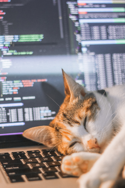 Careers | Linux Foundation